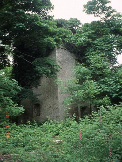 Currane Tower, CURRANE, CARLOW - Buildings of Ireland