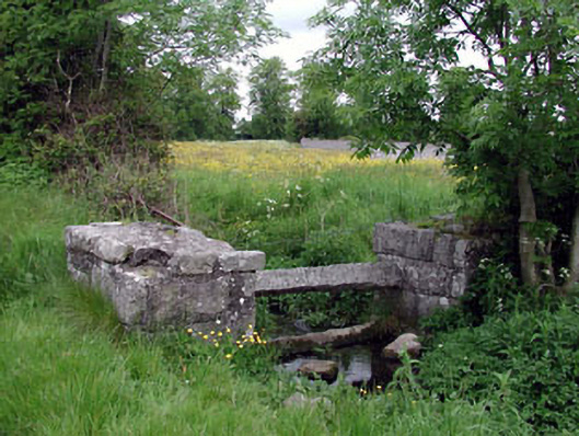 CASTLEDERMOT, Castledermot, KILDARE - Buildings of Ireland