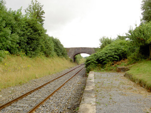 TOWNPARKS (LONGFORD BY.), Newtown Forbes, LONGFORD - Buildings of Ireland
