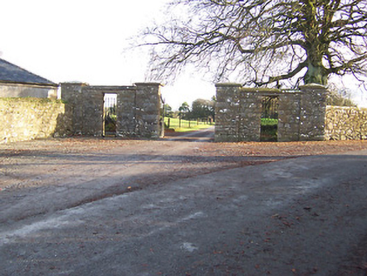 Mount Dalton House, LOUGHAN, WESTMEATH - Buildings of Ireland