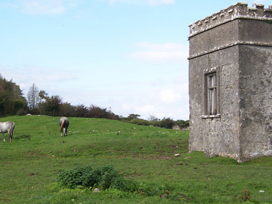 Creggan House, CREGGAN UPPER, WESTMEATH - Buildings of Ireland