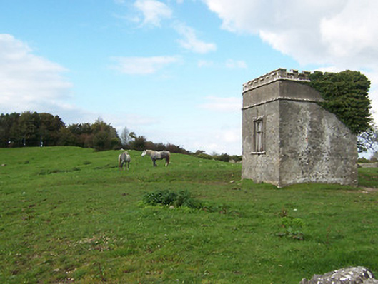 Creggan House, CREGGAN UPPER, WESTMEATH - Buildings of Ireland