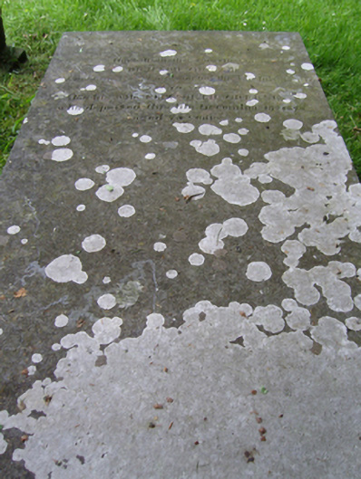 Saint Catherine's Church (Toome), CAMOLIN, Camolin, WEXFORD - Buildings ...