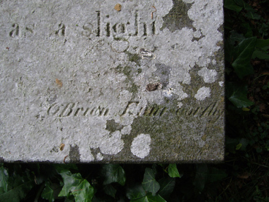 Saint Catherine's Church (Toome), CAMOLIN, Camolin, WEXFORD - Buildings ...