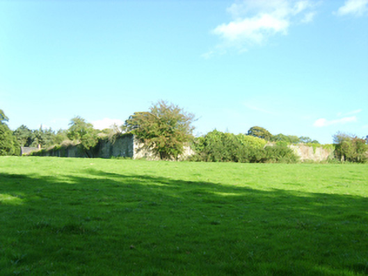 Mac Murrough House, MACMURROUGHS, WEXFORD - Buildings of Ireland