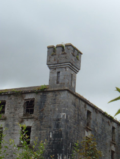 Mill Lane, CASTLELANDS, Buttevant, CORK - Buildings of Ireland
