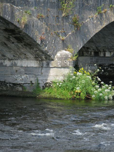 Leemount Bridge, CARRIGROHANE BEG, Carrigrohane, CORK - Buildings of ...