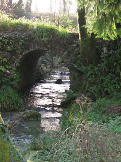 Ballintannig Bridge, GURTEEN, CORK - Buildings of Ireland