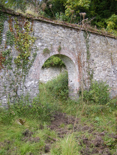 Cooperhill House, MORNINGTON, LIMERICK - Buildings of Ireland