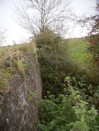 Cloghane Bridge, LOGANSTOWN, LIMERICK - Buildings of Ireland