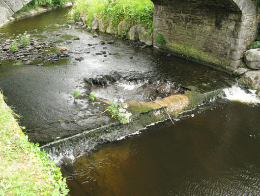 Mountcollins, LIMERICK - Buildings of Ireland
