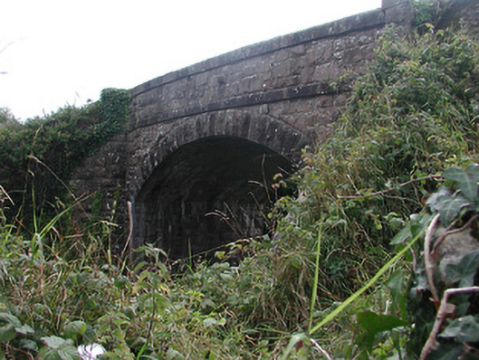 Chapel Lane, TOWNPARKS (ROSCREA PR), Roscrea, TIPPERARY NORTH ...