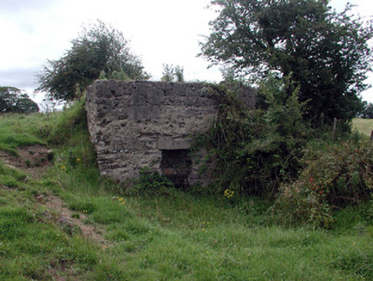 CREGGAN (ATH. N. BY.), ROSCOMMON - Buildings of Ireland