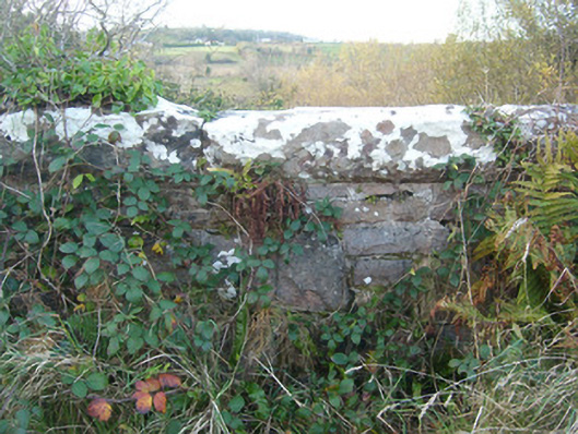 Inver Railway Station, KEELOGES (INVER), Inver, DONEGAL - Buildings of ...