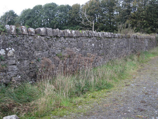 Saint Davnet's Hospital, ROOSKY, Monaghan, MONAGHAN - Buildings of Ireland