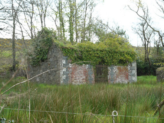 Hope Castle, CONCRA, Castleblayney, MONAGHAN - Buildings of Ireland