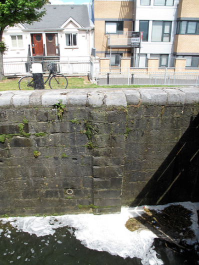 Grand Canal, Davitt Road, Goldenbridge , Dublin 8, DUBLIN - Buildings ...
