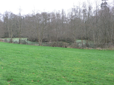 Mitchelstown Castle, MITCHELSTOWN, Mitchelstown, CORK - Buildings of ...