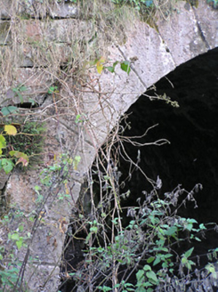 Kane's Bridge, COOLCULLEN, KILKENNY - Buildings of Ireland