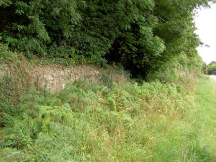 Mosstown House, MOSSTOWN (MOYDOW BY.), LONGFORD - Buildings of Ireland