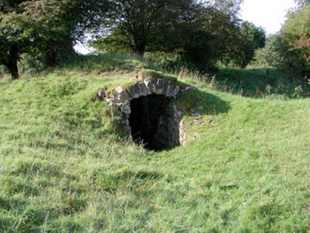 Charleville Castle, CHARLEVILLE DEMESNE, Tullamore, OFFALY - Buildings ...