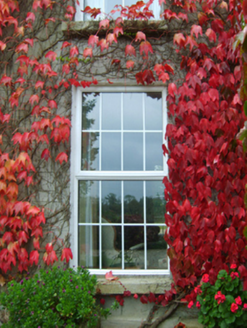 Ashfield House, BALLYBRENNAN LITTLE, WEXFORD - Buildings of Ireland