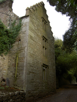 Mallow Castle, CASTLELANDS, Mallow, CORK - Buildings of Ireland
