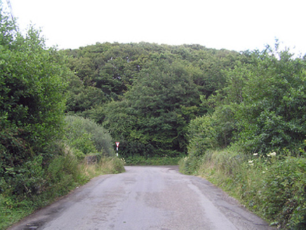 Trout Brook Bridge, GRAIGUE EAST, CORK - Buildings of Ireland