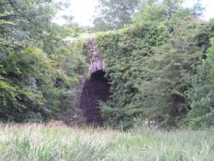 Ardnabricka Bridge, CARRIGNAVAR, CORK - Buildings of Ireland