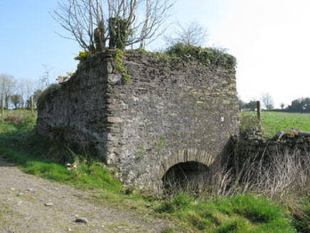 COOLANIDDANE, CORK - Buildings of Ireland