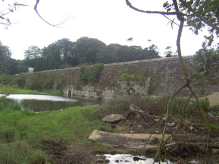 Slatty Bridge, TULLAGREEN, CORK - Buildings of Ireland