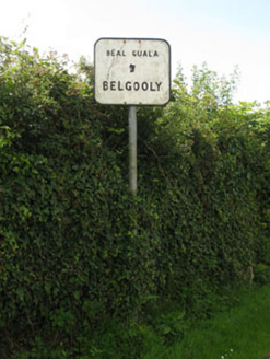 BALLINDEENISK, Belgooly, CORK - Buildings of Ireland