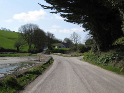 RINGRONE, CORK - Buildings of Ireland