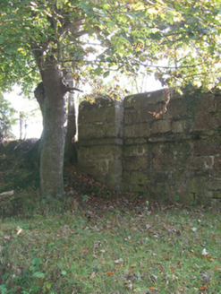 Cappamore Bridge, NEWTOWNRATHGANLEY, Cappamore, LIMERICK - Buildings of ...