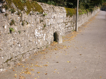 CARRICKSPRINGEN, Patrickswell, LIMERICK - Buildings of Ireland