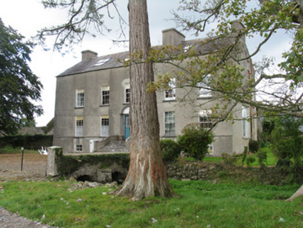 Ballynavin Castle, BALLYNAVIN, TIPPERARY NORTH - Buildings of Ireland
