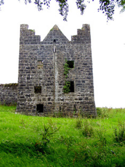 Barnane House, BARNANE (BARNANE-ELY PR), TIPPERARY NORTH - Buildings of ...