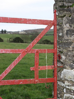 BALLYNAHONE, DONEGAL - Buildings of Ireland