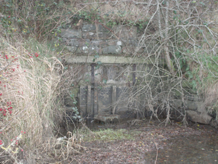 INCH LEVEL (BURT), DONEGAL - Buildings of Ireland