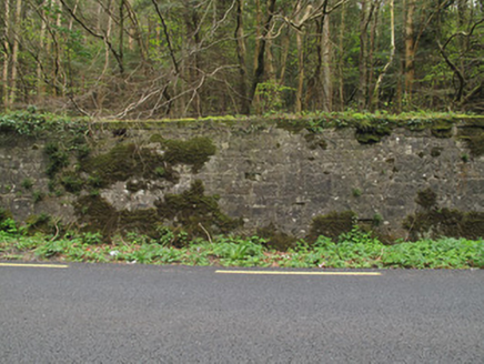 Rossmore Castle, KILLYCUSHIL, MONAGHAN - Buildings of Ireland
