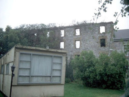 Moneen Lane, TOMARD, Athy, KILDARE - Buildings of Ireland
