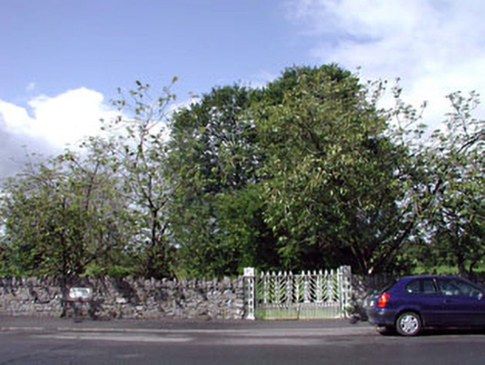 Moore Street, MONASTEREVIN, Monasterevin, KILDARE - Buildings of Ireland