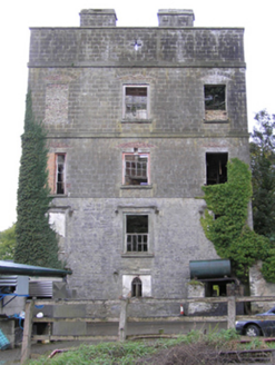 Paulstown Castle, PAULSTOWN, KILKENNY - Buildings of Ireland