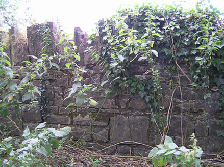 TULLY (GRANARD BY.), LONGFORD - Buildings of Ireland