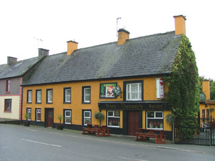 Main Street, SHINRONE, Shinrone, OFFALY - Buildings of Ireland