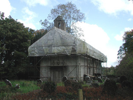 Durrow Abbey, DURROW DEMESNE, OFFALY - Buildings of Ireland