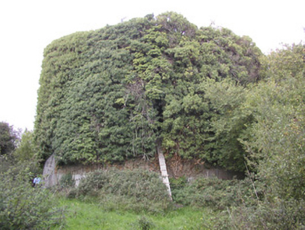 Meelick Martello Tower, CLONAHENOGE, OFFALY - Buildings of Ireland