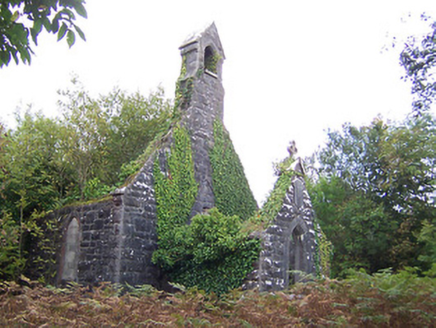 Moydrum Castle, MOYDRUM, Bealin, WESTMEATH - Buildings of Ireland