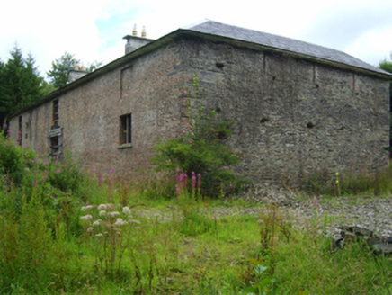 Camolin Park House, CAMOLIN PARK, Camolin, WEXFORD - Buildings of Ireland