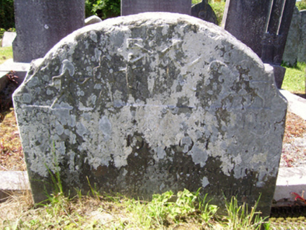 CARNAGH, WEXFORD - Buildings of Ireland